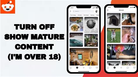 How To Turn Off Show Mature Content Im Over 18 On Reddit App Youtube