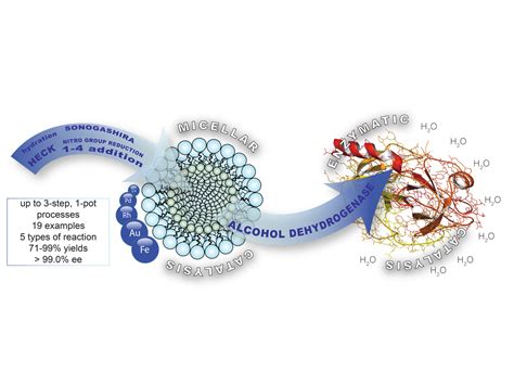 Bridging The Gap Between Transition Metal And Bio Catalysis Via Aqueous Micellar Catalysis
