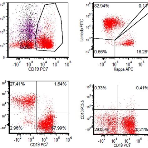Flow Cytometry Revealed A Prominent B Cell Population With Lambda Light