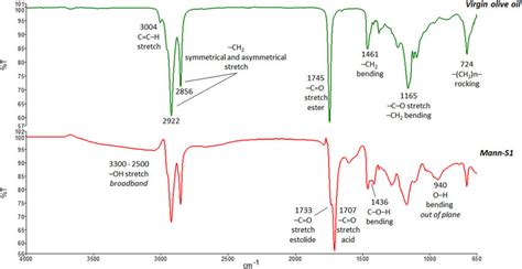 Atr Ftir Spectroscopic Analysis The Spectrum Of Mann S1 Red Line Was