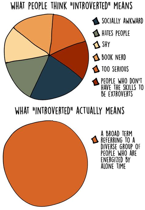 the life of an introvert described by 17 different graphs in5d