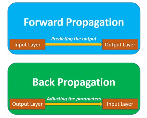 The Difference Between Back Propagation And Forward Propagation In Deep