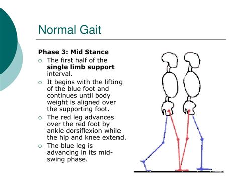 Ppt Gait Analysis Powerpoint Presentation Free Download Id 1394120