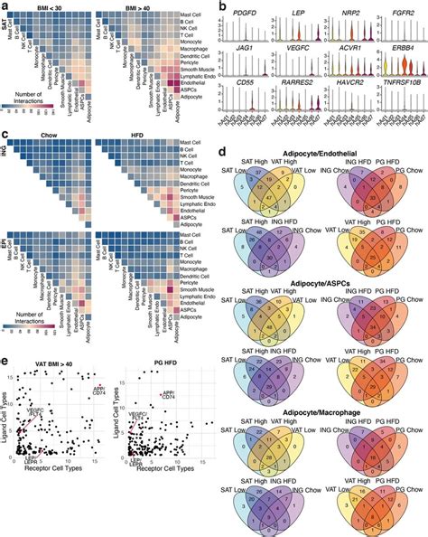 Cellphonedb Plot