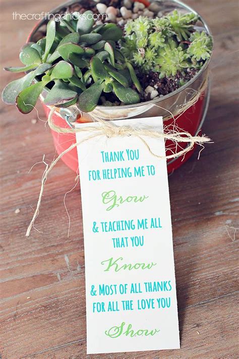 A Thoughtful Plant T For Teacher Appreciation Week The Crafting Chicks