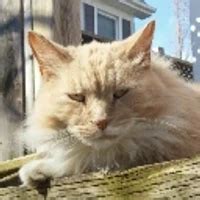 Magpie Align Magpie Alignment