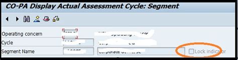 Solved COPA Assessment Cycle Segment Wise SAP Community