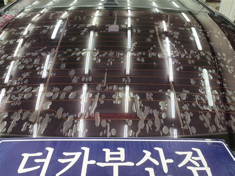 자동차 뒷유리 재썬팅 선팅불량 들뜸 선팅버블 썬팅공기빼기 차 썬팅지 제거 열선 수리 썬팅교체 후면 썬팅 금액 기포 부산썬팅 자동차 뒷유리 재썬팅 선팅불량 들뜸 선팅버블 썬팅공기빼기 차 썬팅지 제거 열선 수리 썬팅교체 후면 썬팅 금액 기포 부산썬팅