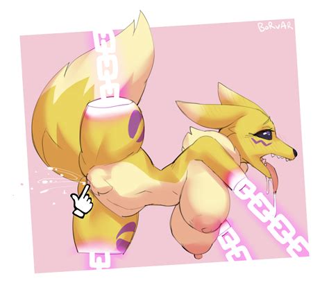 Post Borvar Digimon Renamon