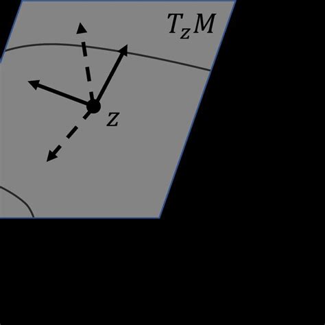 Basis Vectors Of The Tangent Space Of A Manifold Download Scientific Diagram