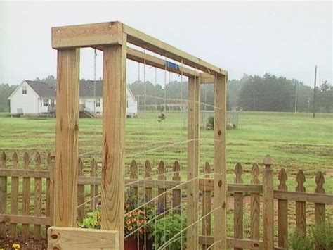 23 Functional Cucumber Trellis Ideas Guaranteed To Boost Your Harvest