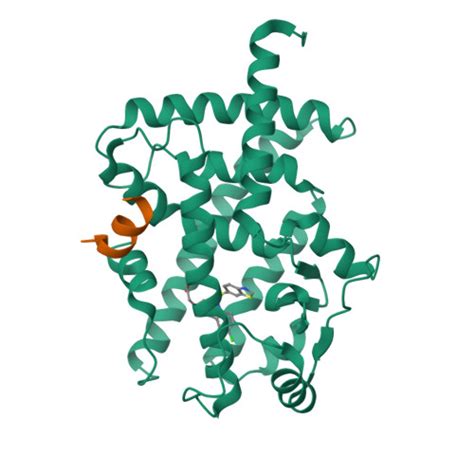 Rcsb Pdb 8hum X Ray Structure Of Human Ppar Gamma Ligand Binding Domain Lanifibranor Src1
