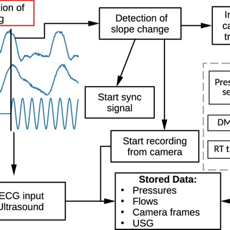 The Initiation And Synchronization Of Data Acquisition Across Download Scientific Diagram