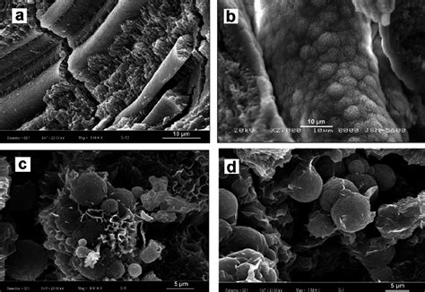 honeycomb texture with platy smectite particles showing edge to edge