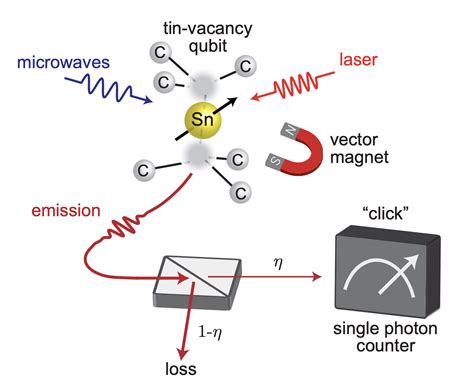 Tin Vacancy Qubit In Diamond A Promising Platform For Advancing Quantum Networks