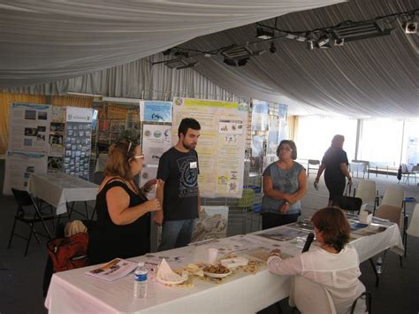 ΣΧΟΛΙΚΟΙ ΛΑΧΑΝΟΚΗΠΟΙ ΟΙ ΚΗΠΟΙ ΤΩΝ ΣΧΟΛΕΙΩΝ ΤΗΣ Δ ΣΗΣ Β ΘΜΙΑΣ ΕΚΠ ΣΗΣ