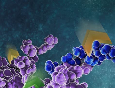 Unveiling The Effects Of Psychedelics Insights From Human Pluripotent