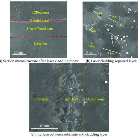 SEM Morphology For Specimen 1 Download Scientific Diagram