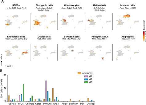 Figures And Data In Single Nucleus Transcriptomics Reveal The