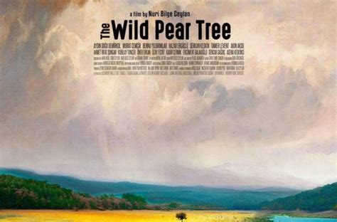 Cannes Review ‘the Wild Pear Tree Marks Another Triumph For Nuri