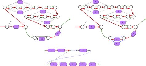 Subgraph Of The Assembly Graph Of Pseudomonas Protegens Pf 5