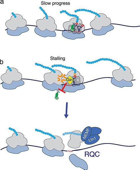 How Lewis Dot Structures Help Understand Molecules