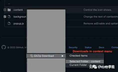 提升开发效率！使用 Gitzip 从 Github 项目中快速获取关键文件 知乎