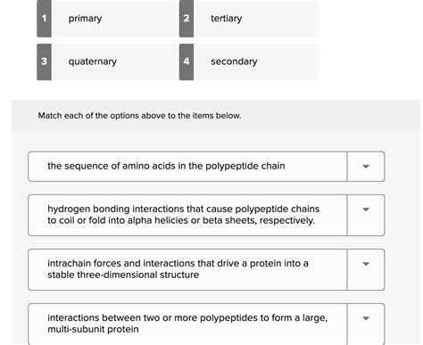 1 Primary 2 Tertiary 3 Quaternary 4 Secondary Match Each Of The Options Above To The Items Below