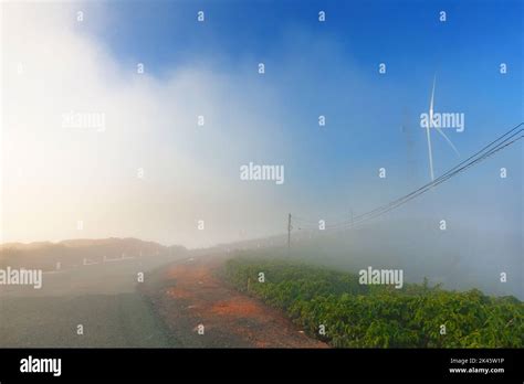 Renewable Energy Wind Turbines Windmill Covered In Fog In The Early Morning In Da Lat City Lam