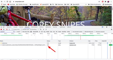 Status Code 204 For Matomophp Tracking File Support And Bugs Matomo