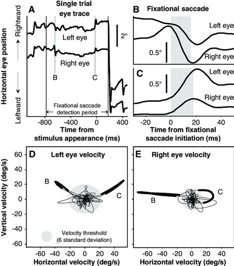Fixational Saccade Detection On Single Trial A Horizontal Eye Traces Download Scientific