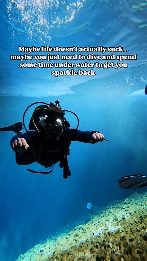 yucatan dive crew cenote diving cavern diving cave diving a