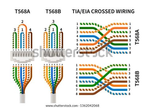 Rj45 Crossover Pin Assignment Infographic Isolated Stock Vector