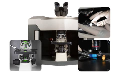 Raman Microscope Qm Raman532 Eco Worldoftest