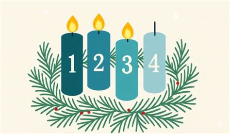 3 Advent Gewinne Eintrittskarten Für Jyllandsakvariet