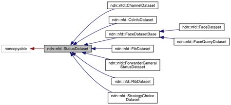 NdnSIM Ndn Nfd StatusDataset Class Reference