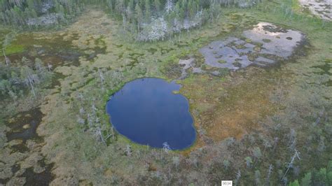 Они сожрут тебя заживо в лесу если ты не спрячешься Youtube