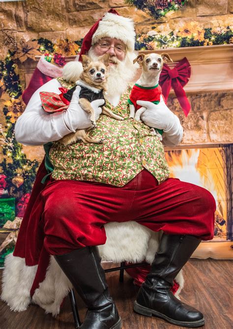 무료 이미지 개 치 행복 산타 클로스 크리스마스 이브 가상의 인물 행사 크리스마스 트리 인간의 몸 전통 나무 크리스마스 장식 휴일 Stock