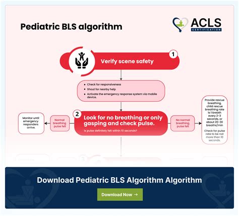 Pediatric Bls Algorithm Aclsnow