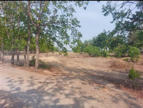 ขายที่ดินเปล่า 273 ตร ว ตำบลสนามคลี อำเภอเมือง จังหวัดสุพรรณบุรี