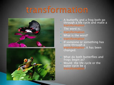 Ppt Lesson 14 Day 1 Powerpoint Presentation Free Download Id3100510