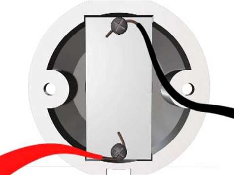 How To Install Spore Comedyfoo