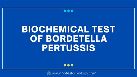 Biochemical Test Of Mycobacterium Tuberculosis