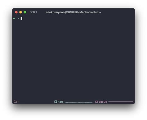 Mac Terminal Theme 꾸미기 Iterm2 Oh My Zsh Zsh Syntax Highlighting