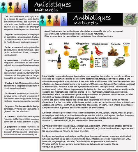 Huiles Essentielles Antibiotiques Naturels Huile