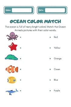 Color Matching Color Match Activity Learning Colors By Learn With Bizmo