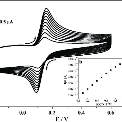a Graph of Ipa versus scan rate ν and inset figure is graph of Ipa Download Scientific