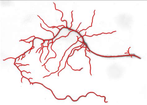 Imagej的一些基本操作 知乎