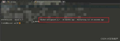 Docker Mysql镜像因为配置文件出现错误一直提示重启的解决 Docker 脚本之家