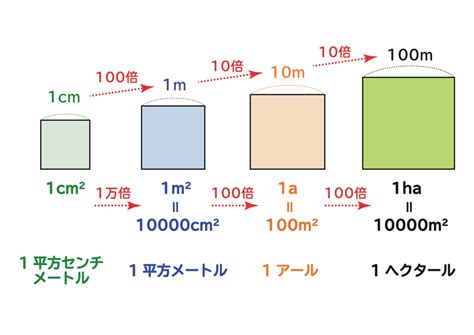 アール 平方メートル 換算表 1平方メートルは、何平方センチメートル Mhxxyh